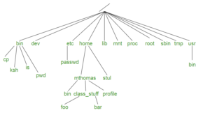 Hands-on Guide for Linux bin file and folders - Coding Bootcamps School